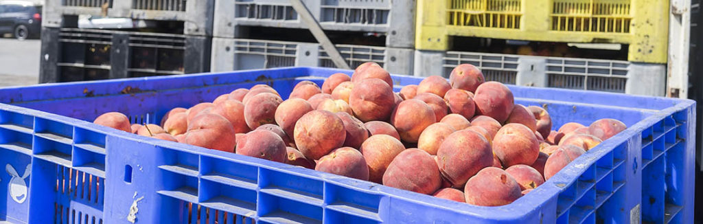 Measurement Solutions For Crops And Perishable Food Industry