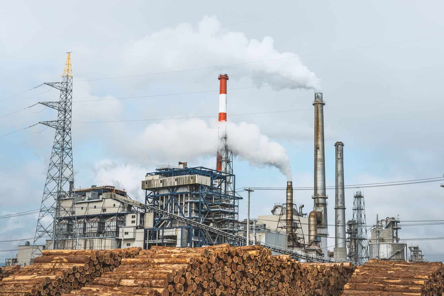 Pulp And Paper - CrossCo