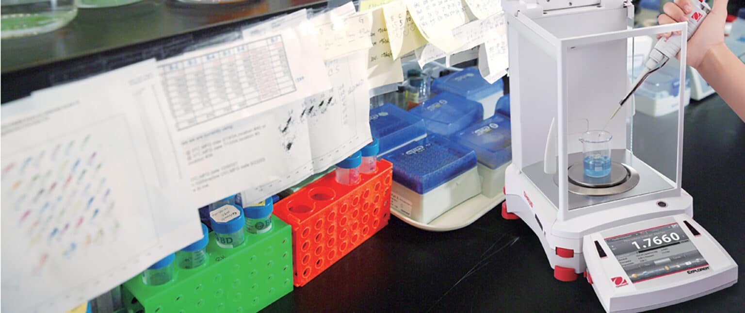 Draft Shield (Weight And Scale) - Definition & Examples - CrossCo