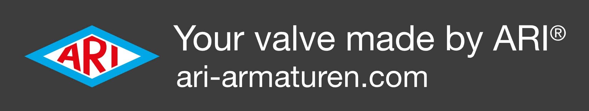 ARI-REYCO Safety Relief Valves - Cross Company